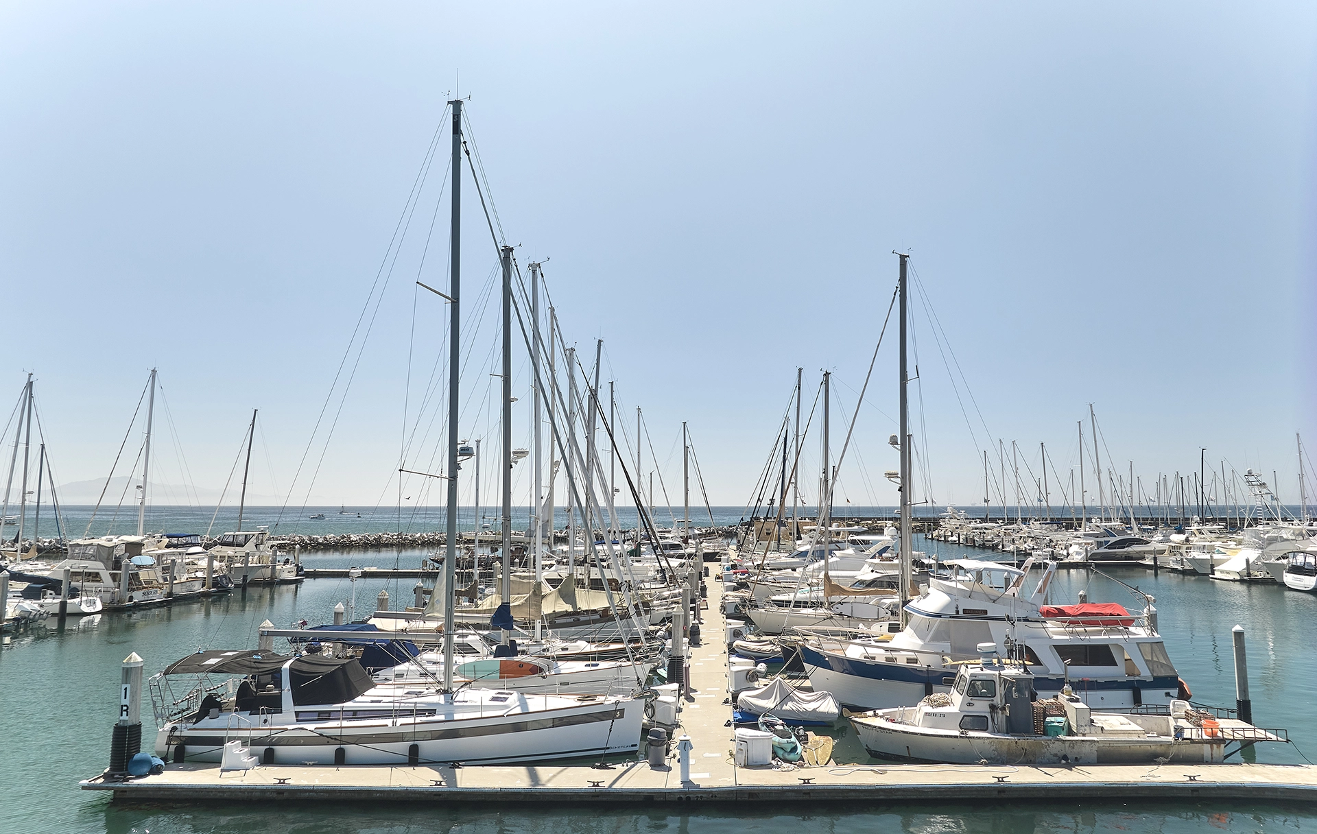 Labor and Employment - FLAS Law